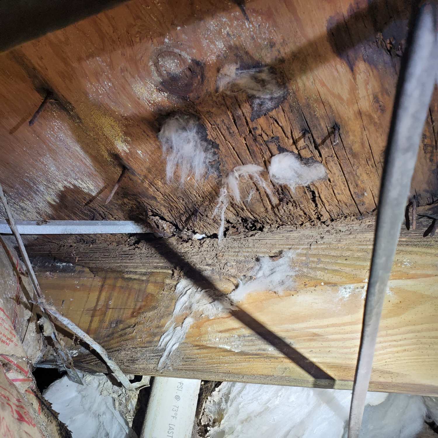 Your Inspection - 360 Home Inspections